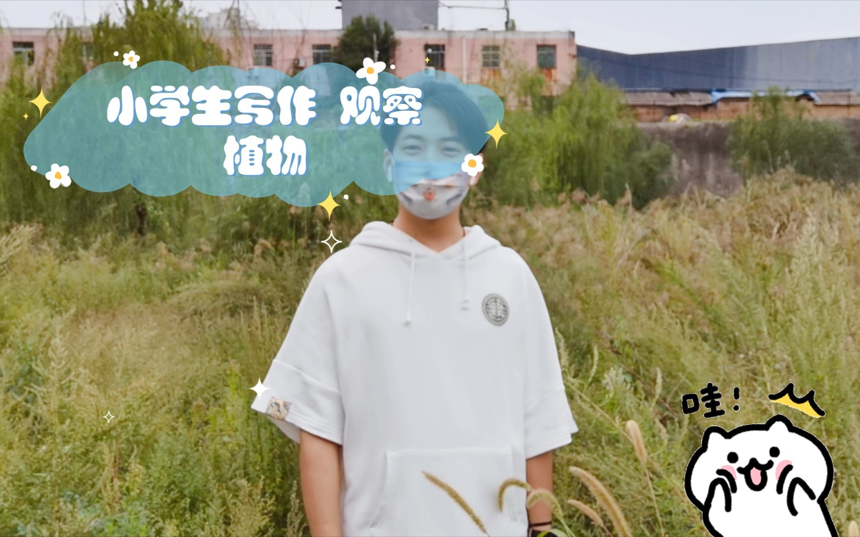 小学生写作 观察植物 五感小人法