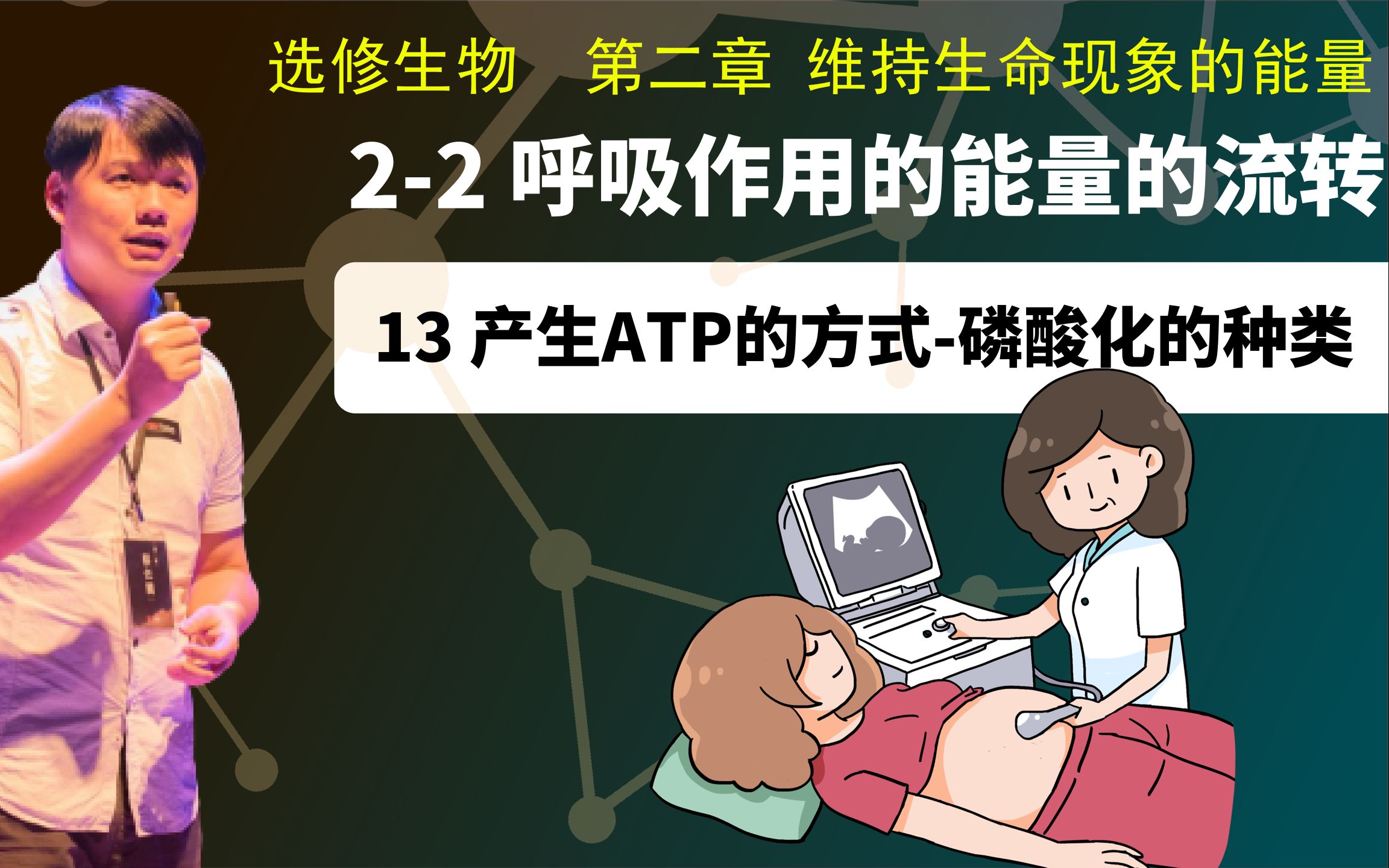 选修生物2-2.13 产生ATP的方式——磷酸化的种类