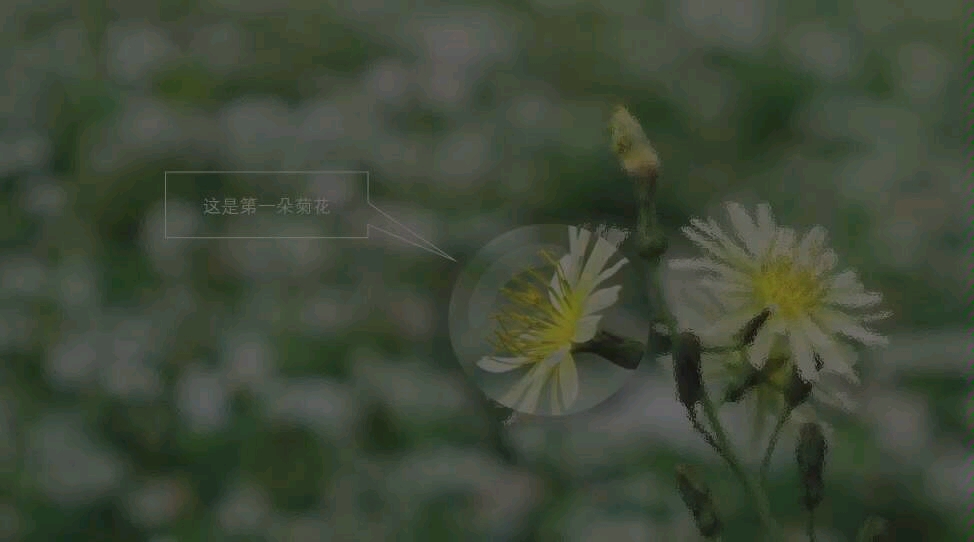 使用ppt的平滑切换功能制作出动态放大镜效果