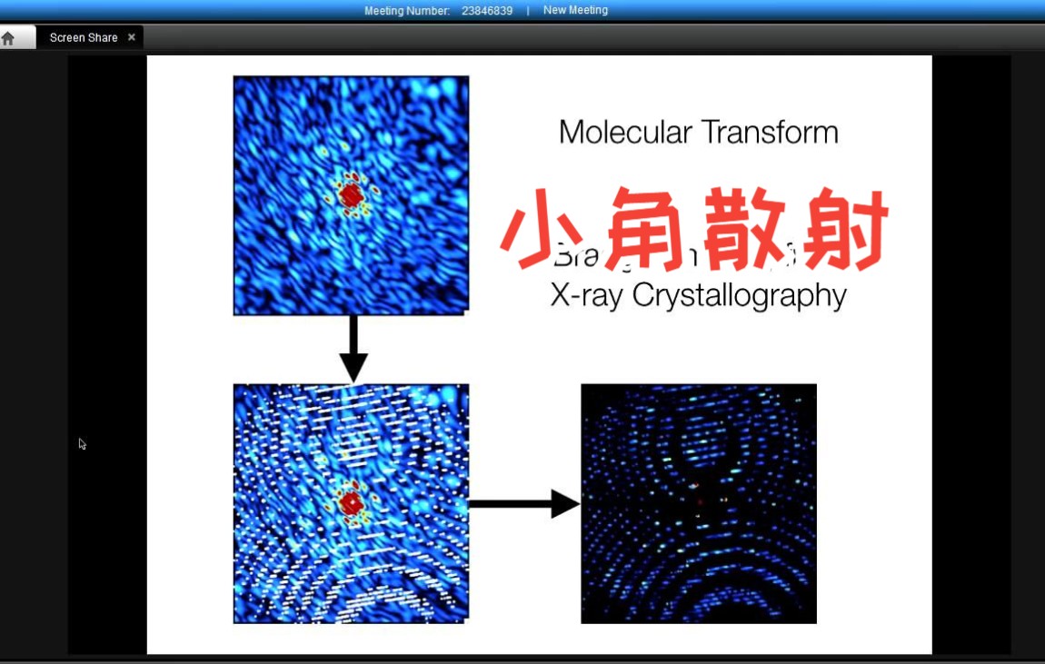 【中英字幕】小角X射线散射(SAXS) 原理和应用 生物大分子结构研究 ...