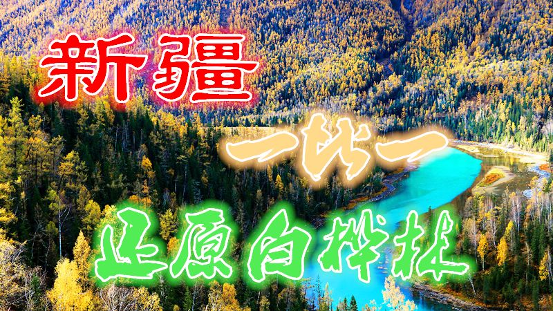 景区|一比一还原朴树的《白桦林》这个地方就在新疆!