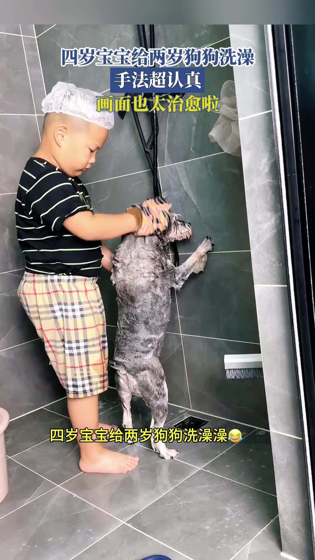 四岁宝宝给两岁狗狗洗澡,手法超认真,画面也太治愈啦!