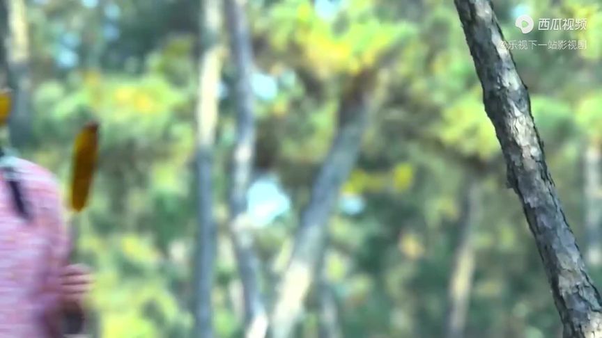 #为了你我愿意热爱整个世界 #因为一个片段看了整部剧