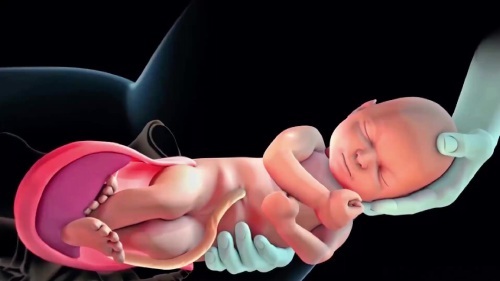 怀孕全过程揭秘,让你惊叹人类出生的奇迹!