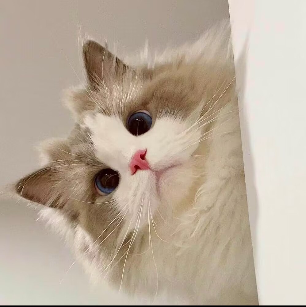 PCTLRWF 