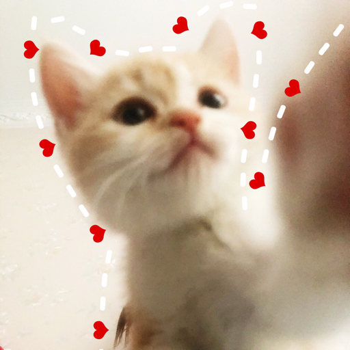 葡萄是盒猫iii 