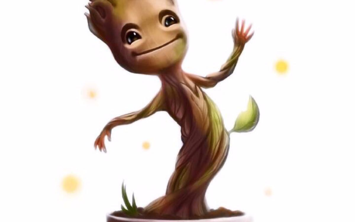 初一生物课堂:种子植物的生根发芽