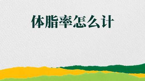 3分钟学会计算体脂率!这个数字竟决定你的健康水平?