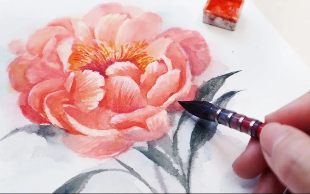 【水彩画】水彩作品牡丹花卉教程 教您一步步的绘制牡丹水彩图