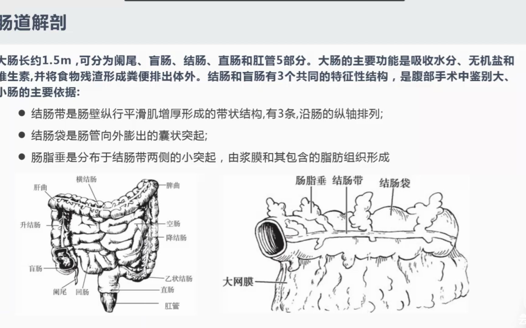 【胃肠超声】《肠道炎症性疾病的超声表现》杨明海