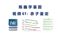陈巍学基因 视频61 亲子鉴定