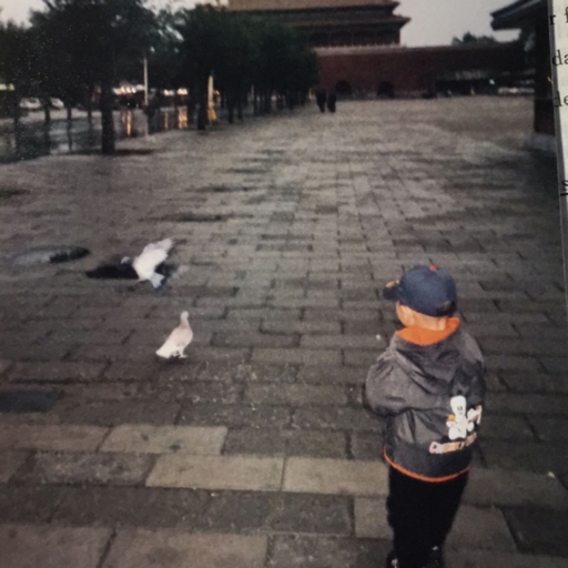 王总不爱吃油条 