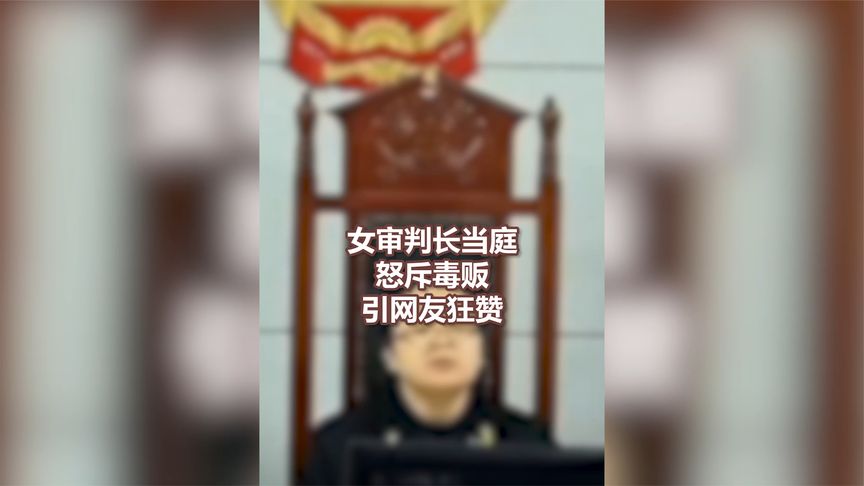 女审判长当庭怒斥毒贩,飙出一连串“金句”,一旁陪审员反应亮了