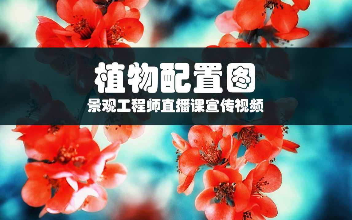 景观植物配置图