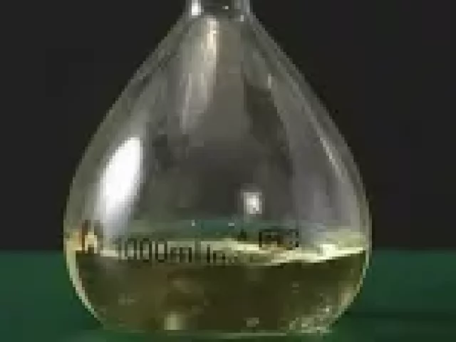 植物花药的组织培养