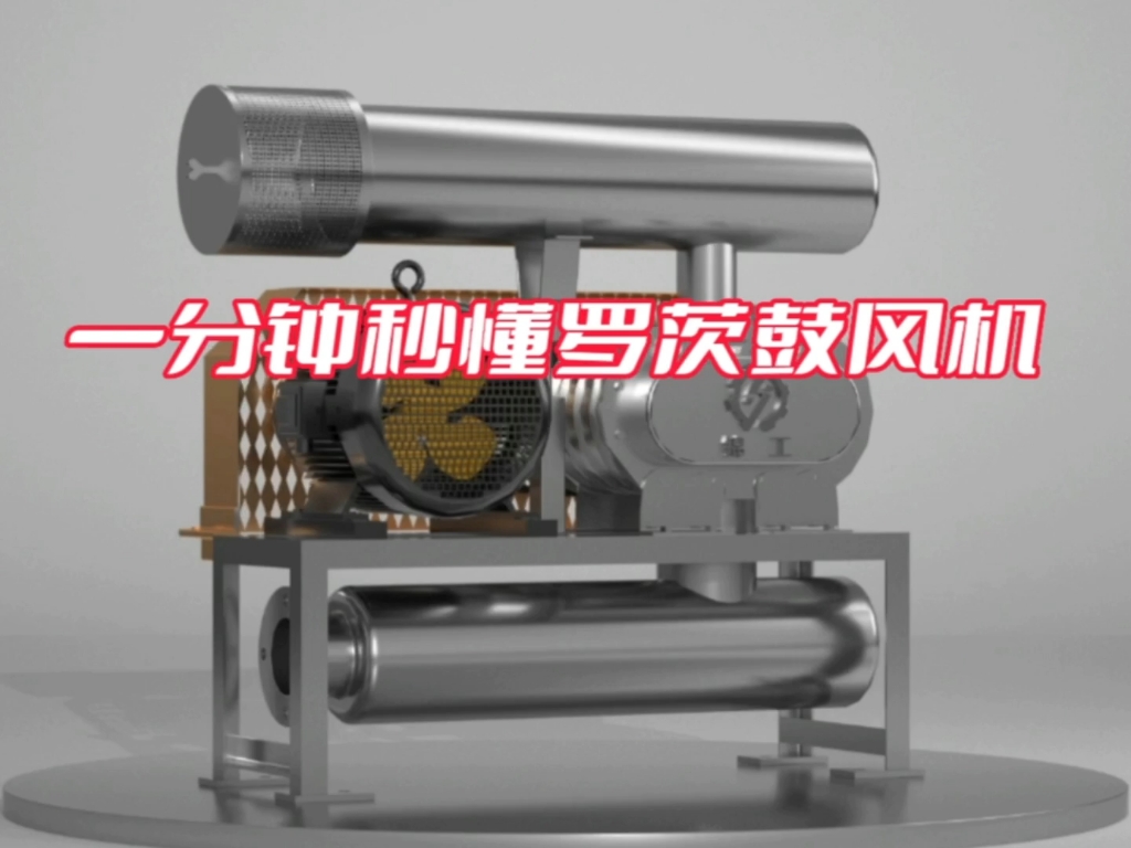 一分钟秒懂罗茨鼓风机,罗茨风机的工作原理及特点