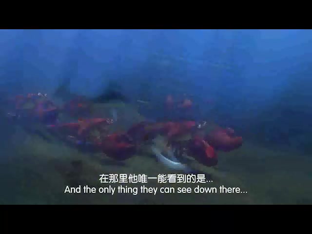 海底总动员(英语版) 超清(720P)
