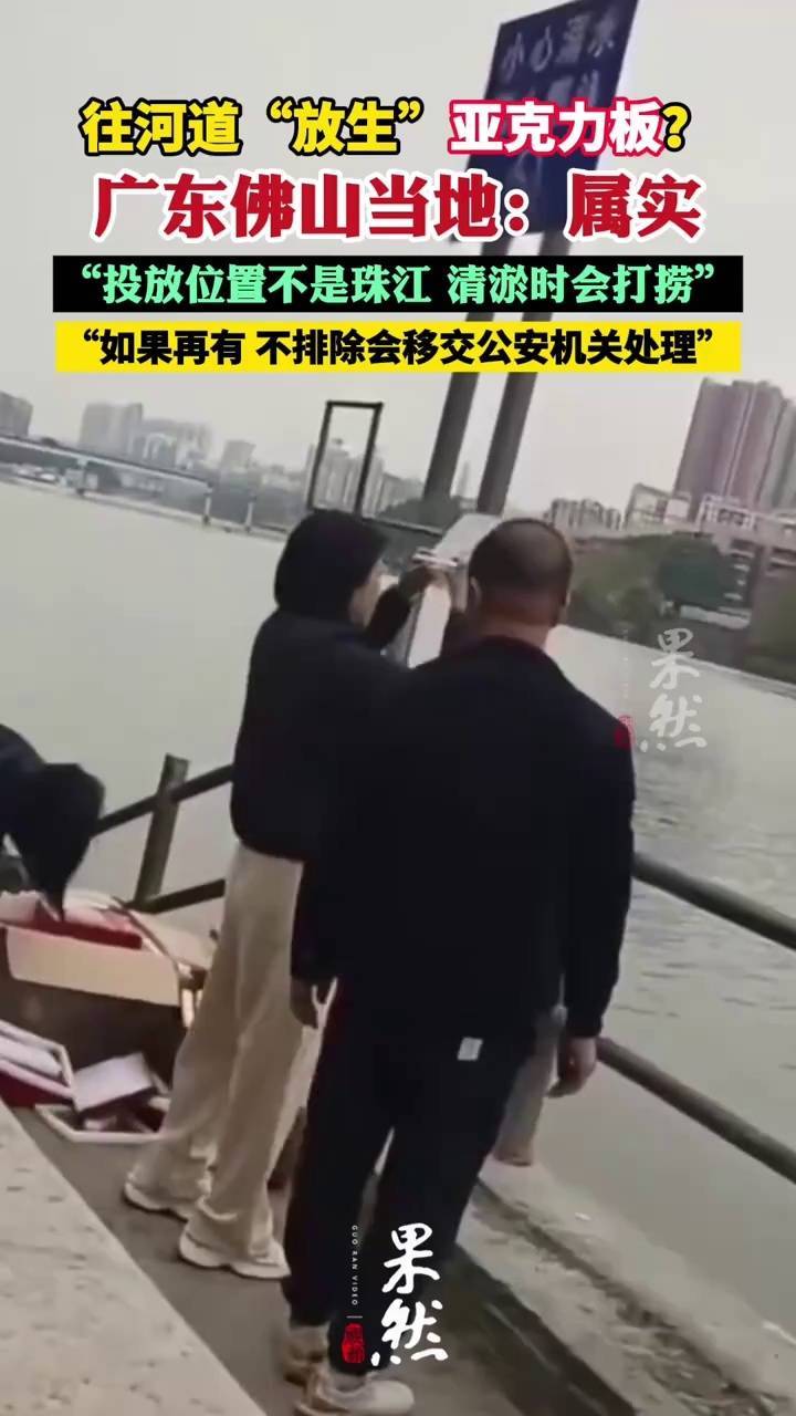 多人往河道"放生"亚克力板,广东佛山当地:属实,但投放位置不是珠江,...