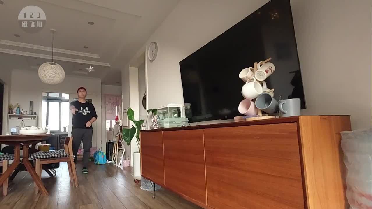 怎样折一只超帅的仿真纸飞机,可以飞的鸭翼仿真机Anaconda