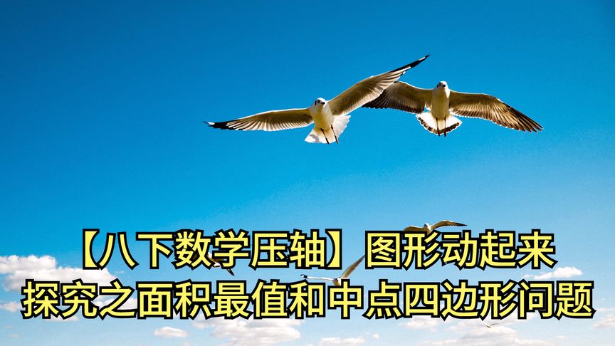【八下数学压轴】图形动起来轻松解决几何探究题之中点四边形问题