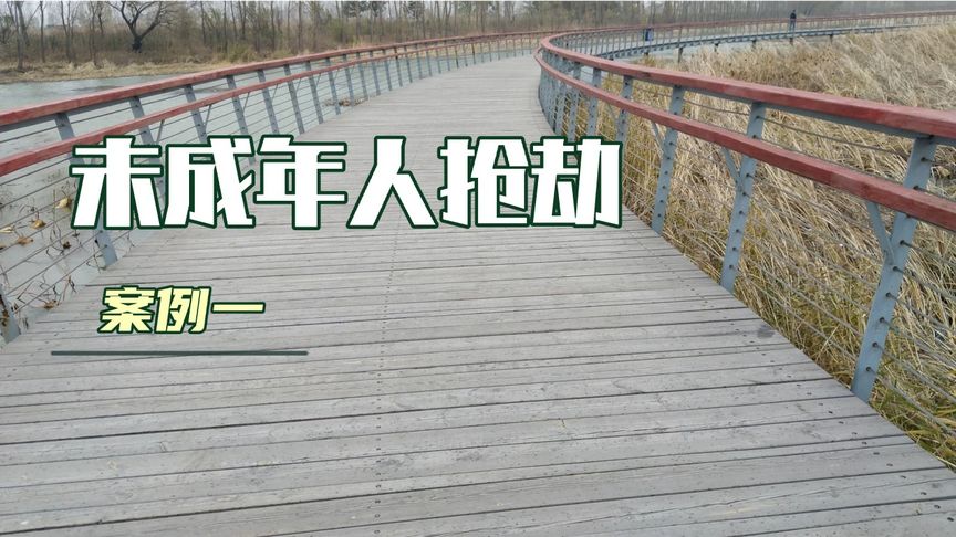 预防未成年人因网络成瘾导致的犯罪(抢劫案例)