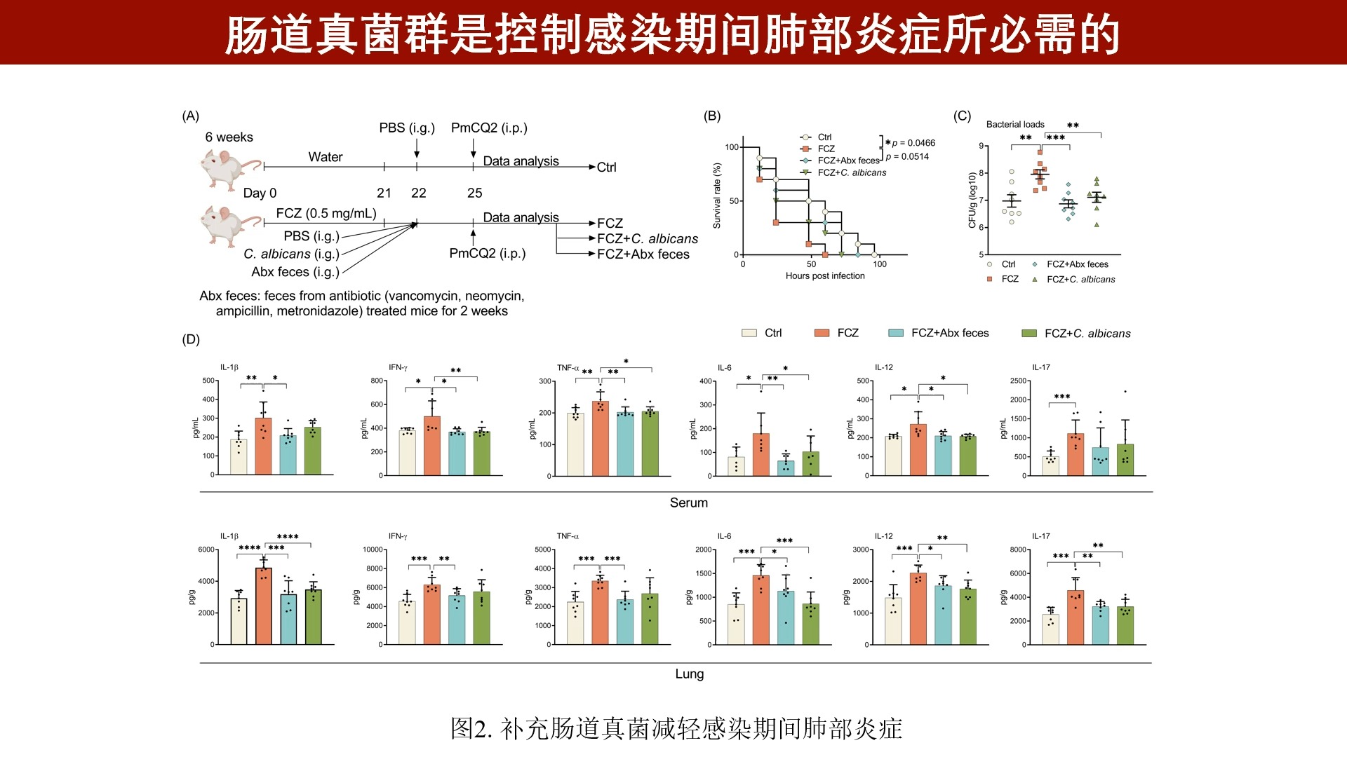 iMeta | 华南农业大学任文凯组发现肠道真菌与细菌互作影响肺炎