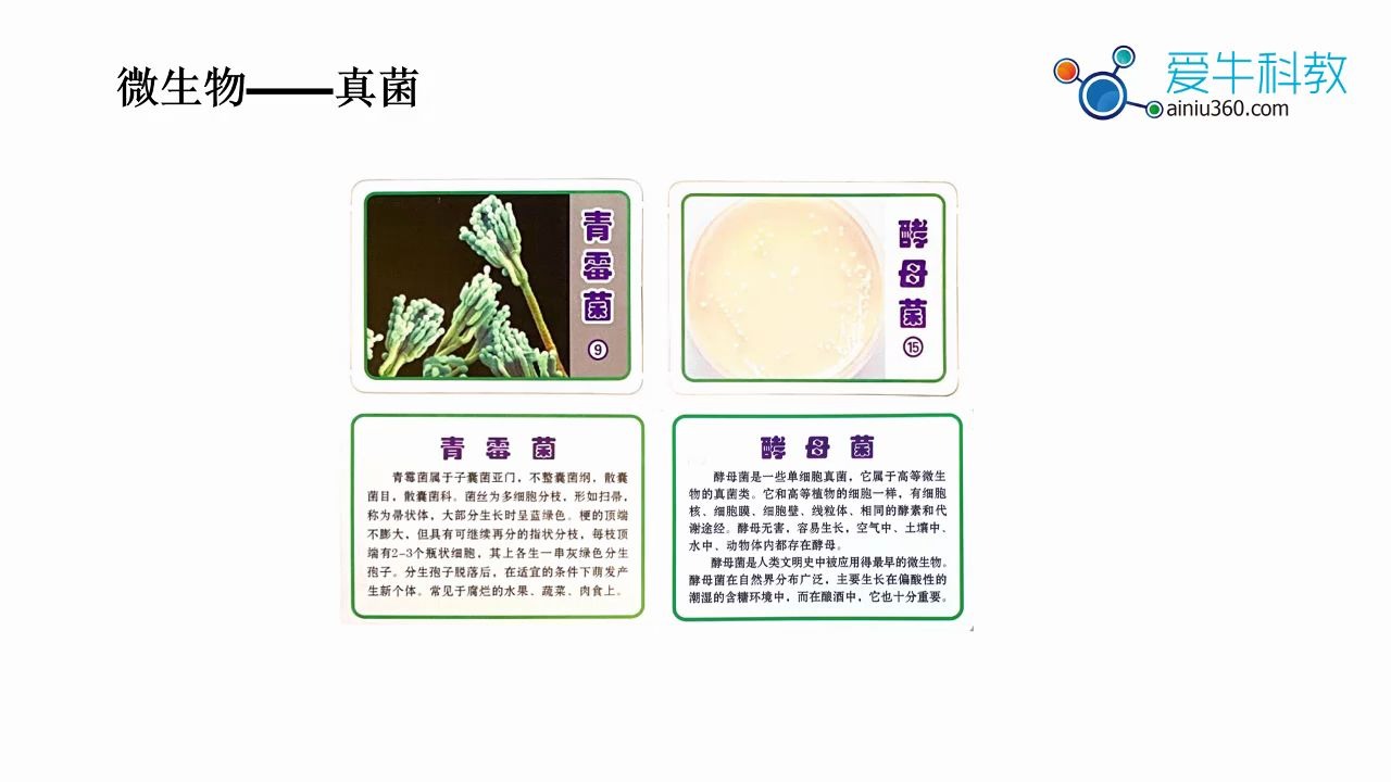教科版小学科学六下1.8微小世界和我们