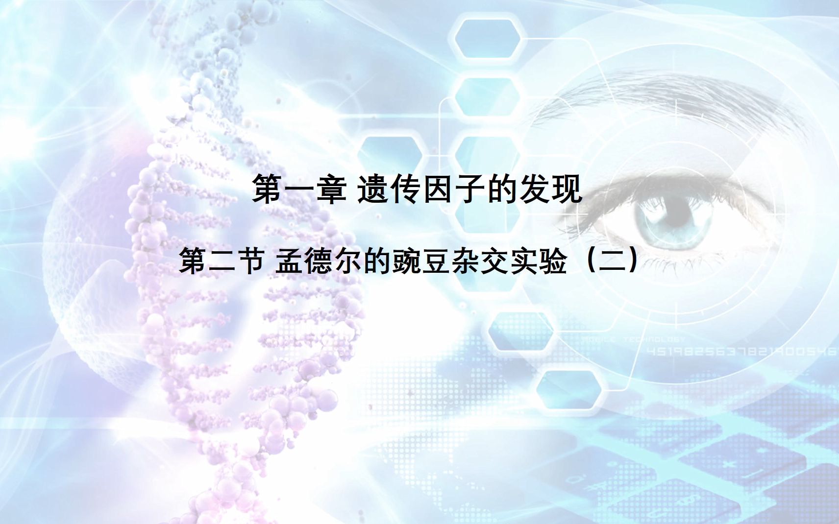 孟德尔的豌豆杂交实验(二)