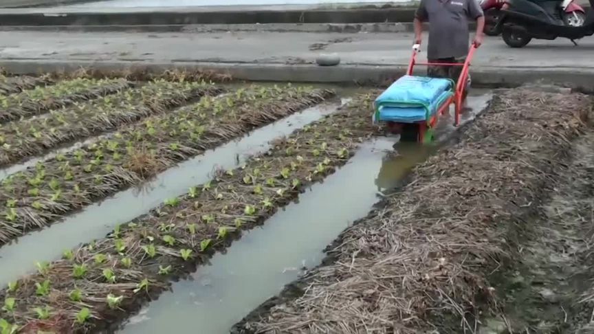 单轮农用电动搬运车,看完我都想用电动车改一台