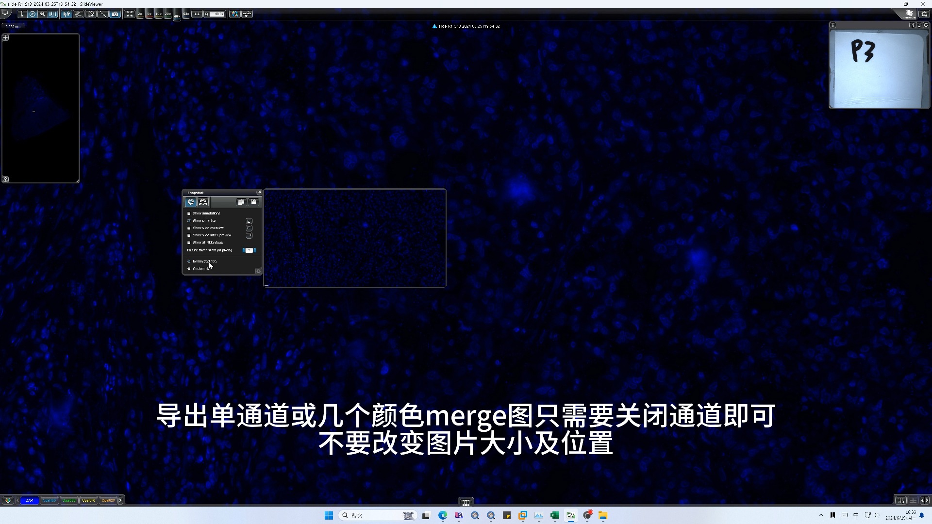 SlideViewer看图软件使用——高清荧光图像输出