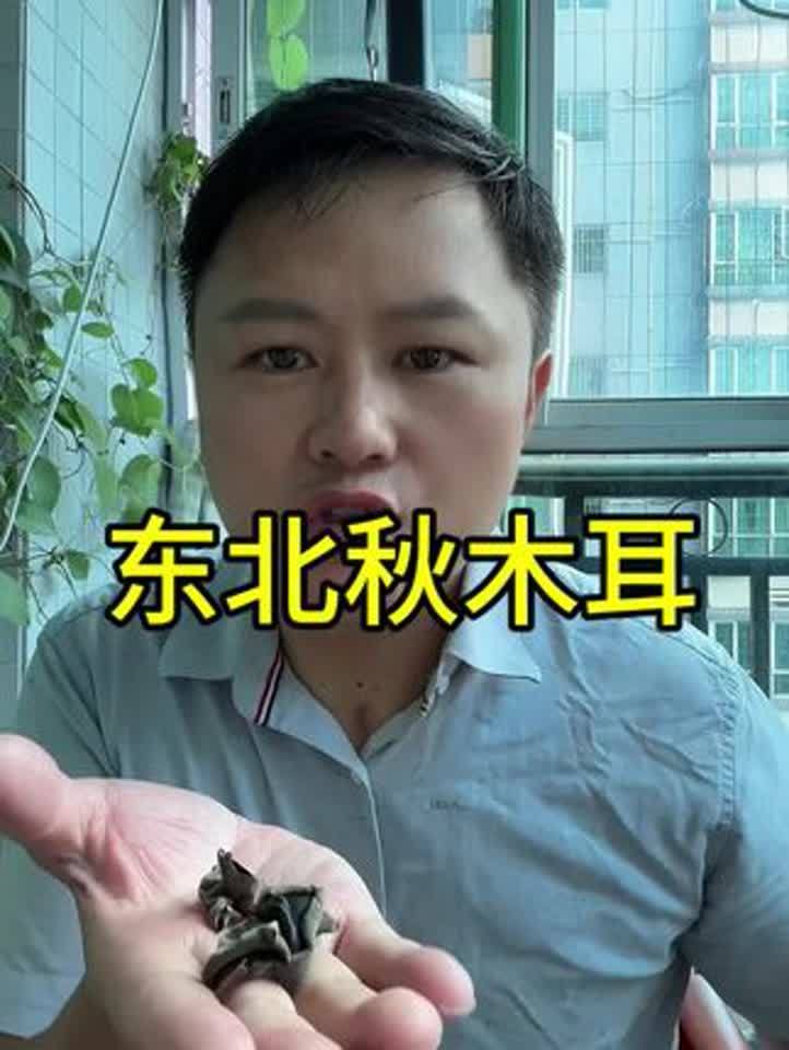 东北秋木耳营养价值高,好吃还不贵,点击左下角链接可以下单