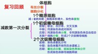 高一生物 第6集 减数分裂中染色体、DNA、染色单体数量变化规律
