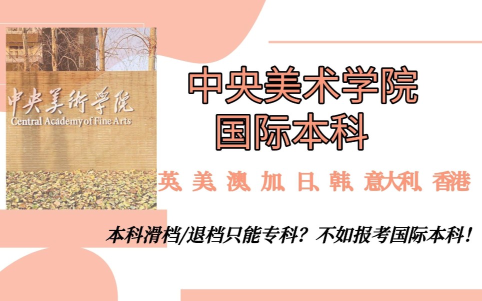 本科退档滑档还能上全日制本科——计划外国际本科✔央美国际本科