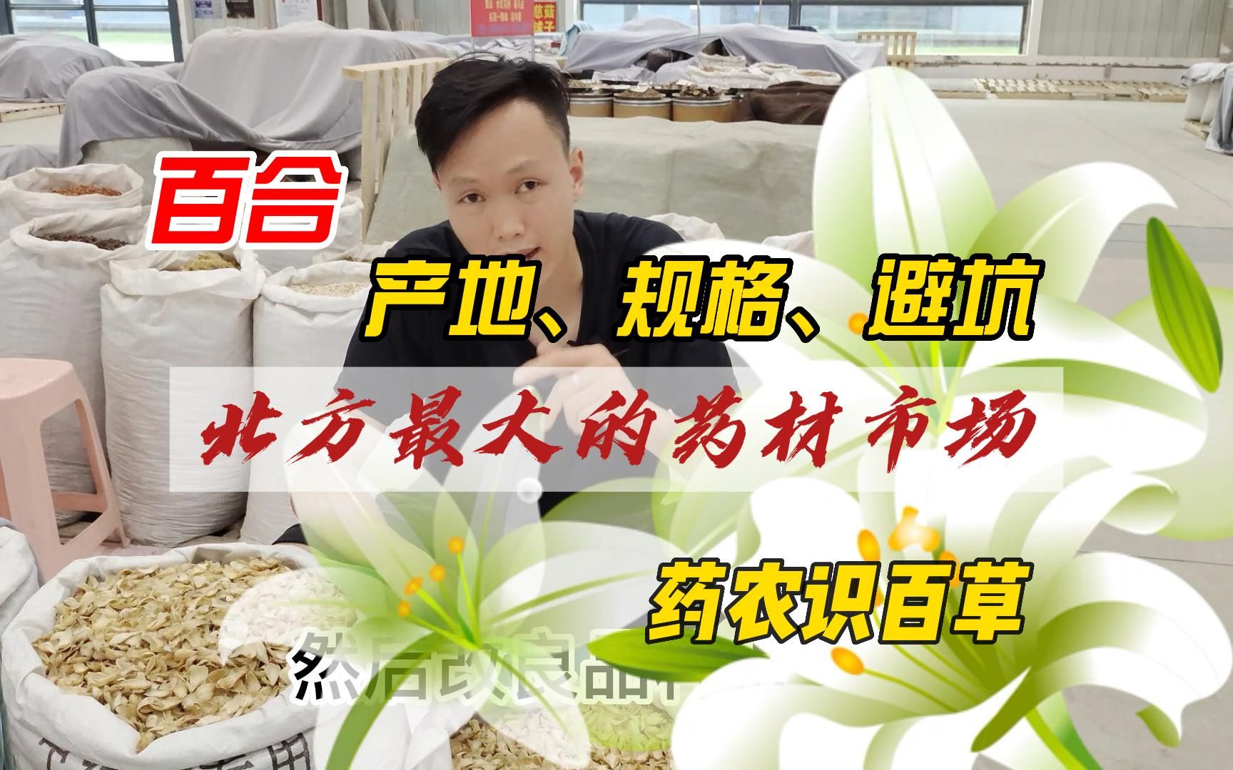 睡不着吗?找百合,安神伏魔阴虚久咳,药农王岩识百草