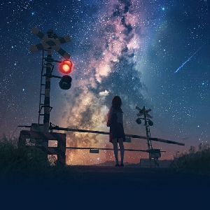 低调的A君 