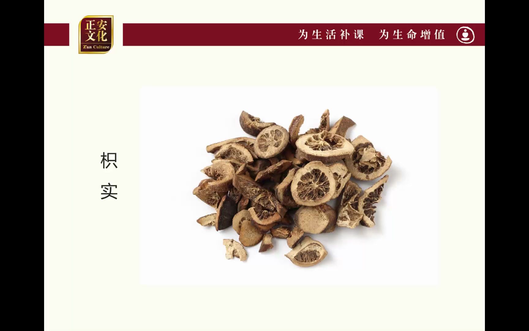 倪海厦老师弟子施合一经方药证学 第十章 理气药 02 枳实1