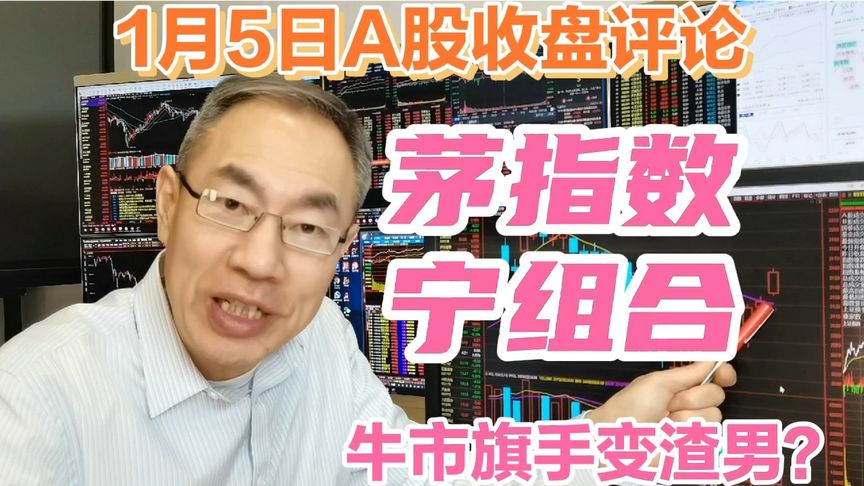 A股放量大涨成交8428亿,茅指数宁组合引领大涨!牛市旗手变渣男