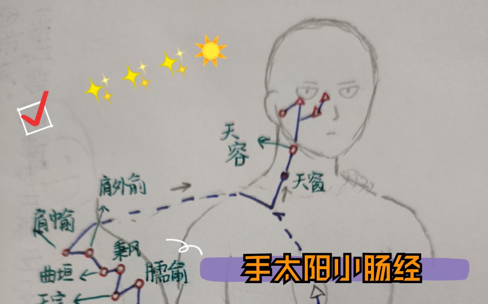 就把这个图交给老师好了(●°u°●) 」手太阳小肠经学习笔记