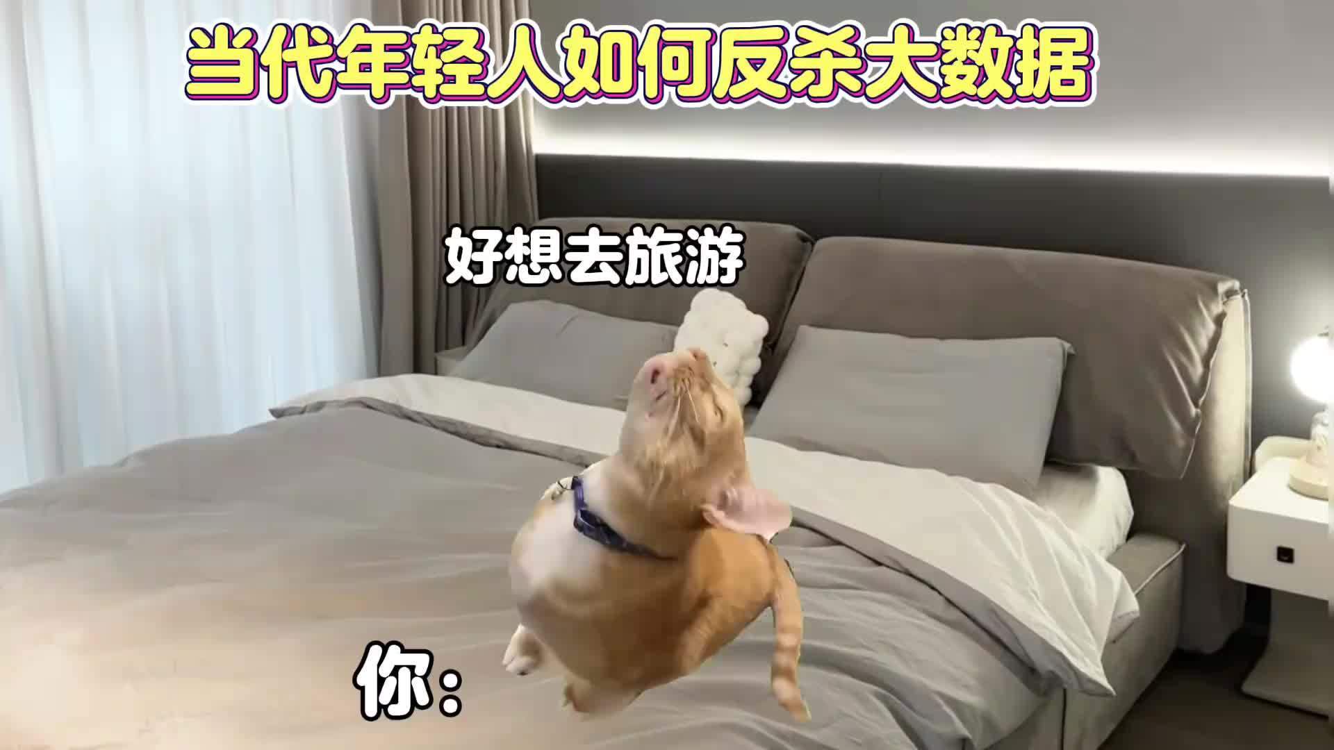 当代年轻人如何反杀大数据