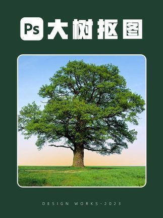 ps抠大树小技巧 竟然还有人用魔棒抠大树,30秒就能搞定
