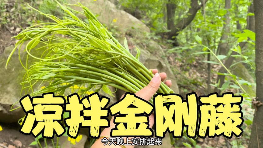 今天遇到了嫩嫩的金刚藤,摘回家做个凉拌金刚藤它不好吃吗?