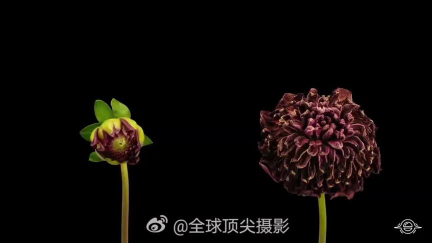 专业生产工程塑料、管材管道等非金属材料检测仪器