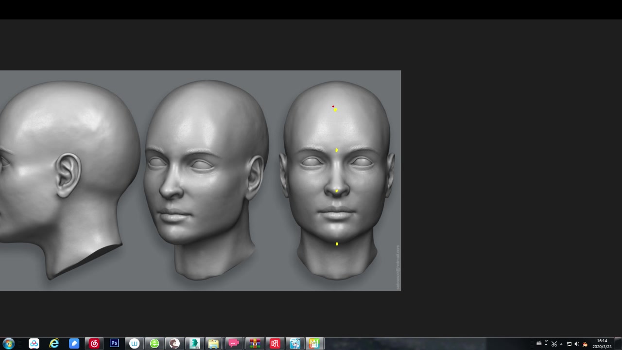 五官比例讲解,男女五官区别