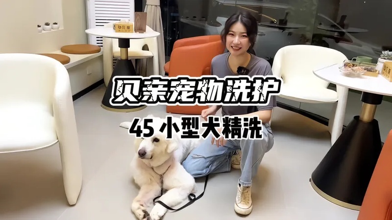 宠物洗护中心哪家强! 宠物洗护美容 宠物一站式服务 情动七夕