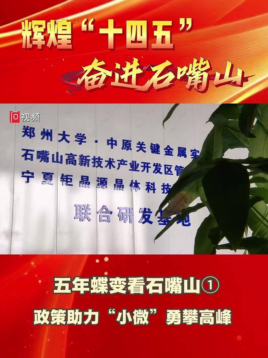 五年蝶变看石嘴山①丨政策助力"小微"勇攀高峰#营商环境#小微企业#...