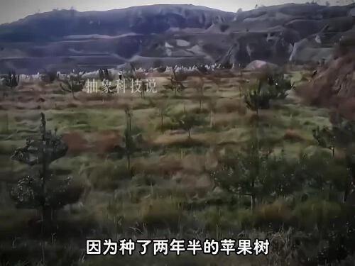陕西小伙儿搞出个捉耗子神器,能从下面逮住鼢鼠