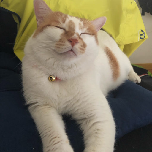 fishzyh 