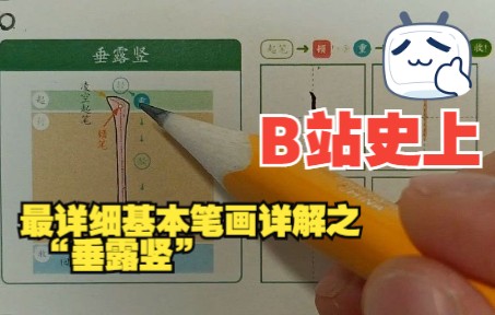 第二集 | 硬笔楷书基本笔画讲解之“垂露竖”