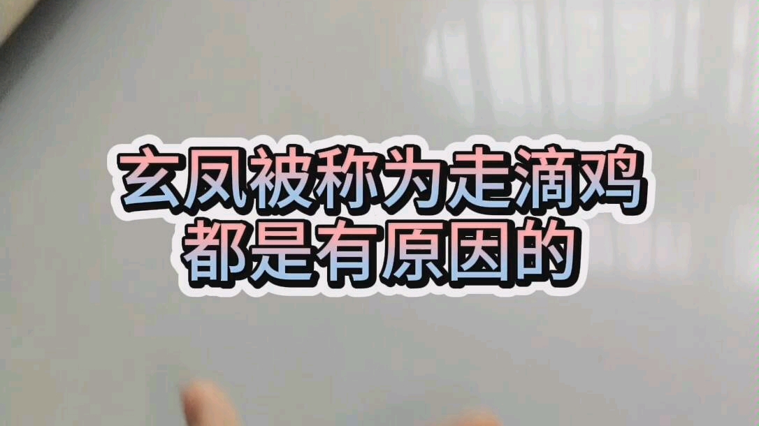 玄凤宗旨:能走绝对不飞