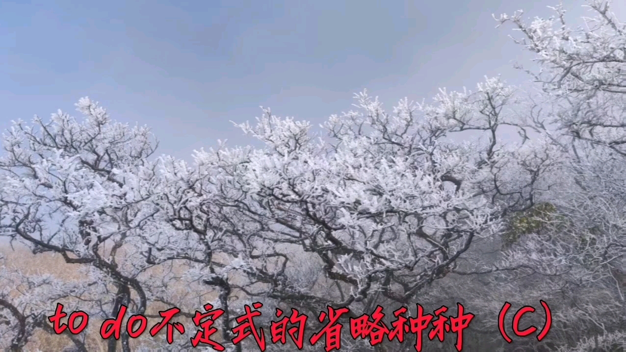 to do不定式的省略种种(C)